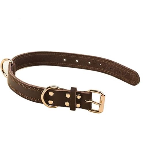 Brown Leather Dog Collar | Collar & Leashes | Poochyandzoey.com